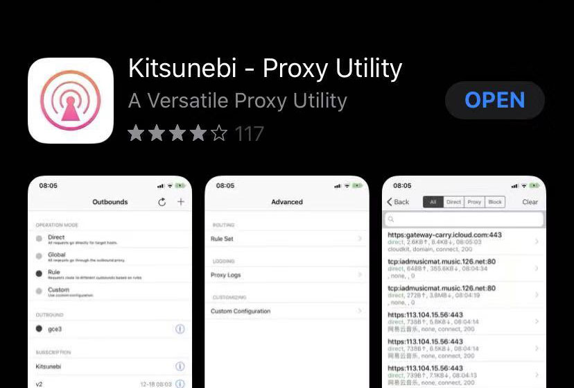 kitsunebi使用教程与配置规则，附v2ray软件下载 - Gary Geng